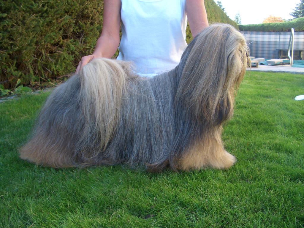 Rasterman's Thrill N'Chill | Internationaler Klub für Tibetische ...