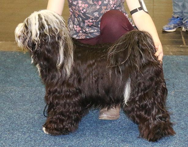 Srinagar Danda Gan-de Mihu Srin-po | Internationaler Klub für ...